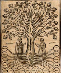 Llull's Tree of Knowledge : History of Information
