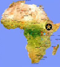 The Oldest Fossil Remains of Anatomically Modern Humans : History of ...