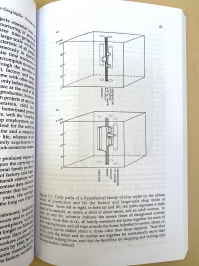 With "Time Geography" Allan Pred Maps the Activity of Individuals and a ...