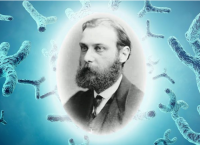 History of Information