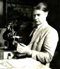 History of Information