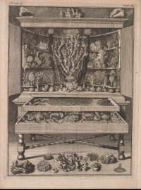 Levinus Vincent Describes his Palatial Wunderkammer with a Special ...